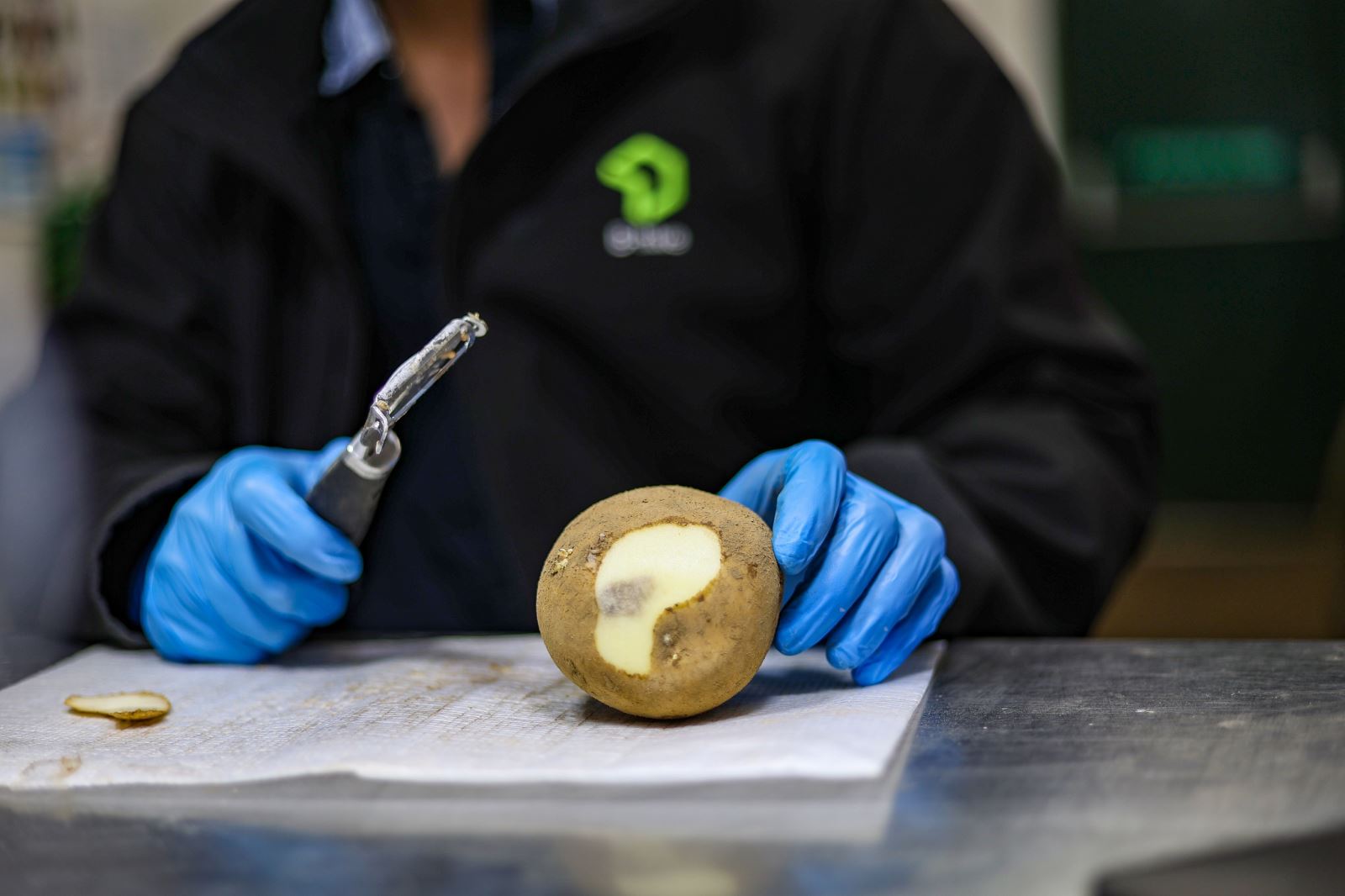 AGRI-TECH INNOVATOR SECURES PROJECT FUNDING TO REDUCE BRUISED POTATO ...